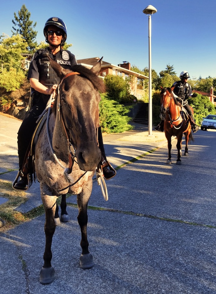 SPF’s Sponsor-a-Horse fundraiser benefitting the SPD Mounted Patrol ...